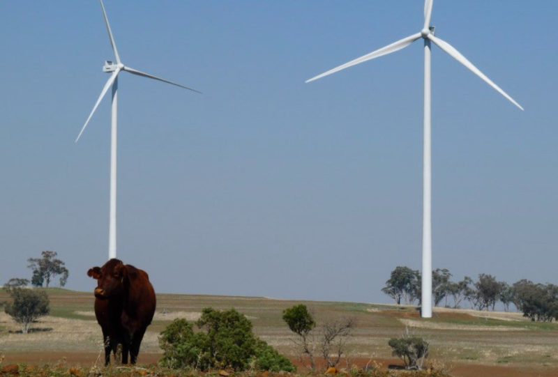 Sydney Opera House wind farm launches new community investment round ...